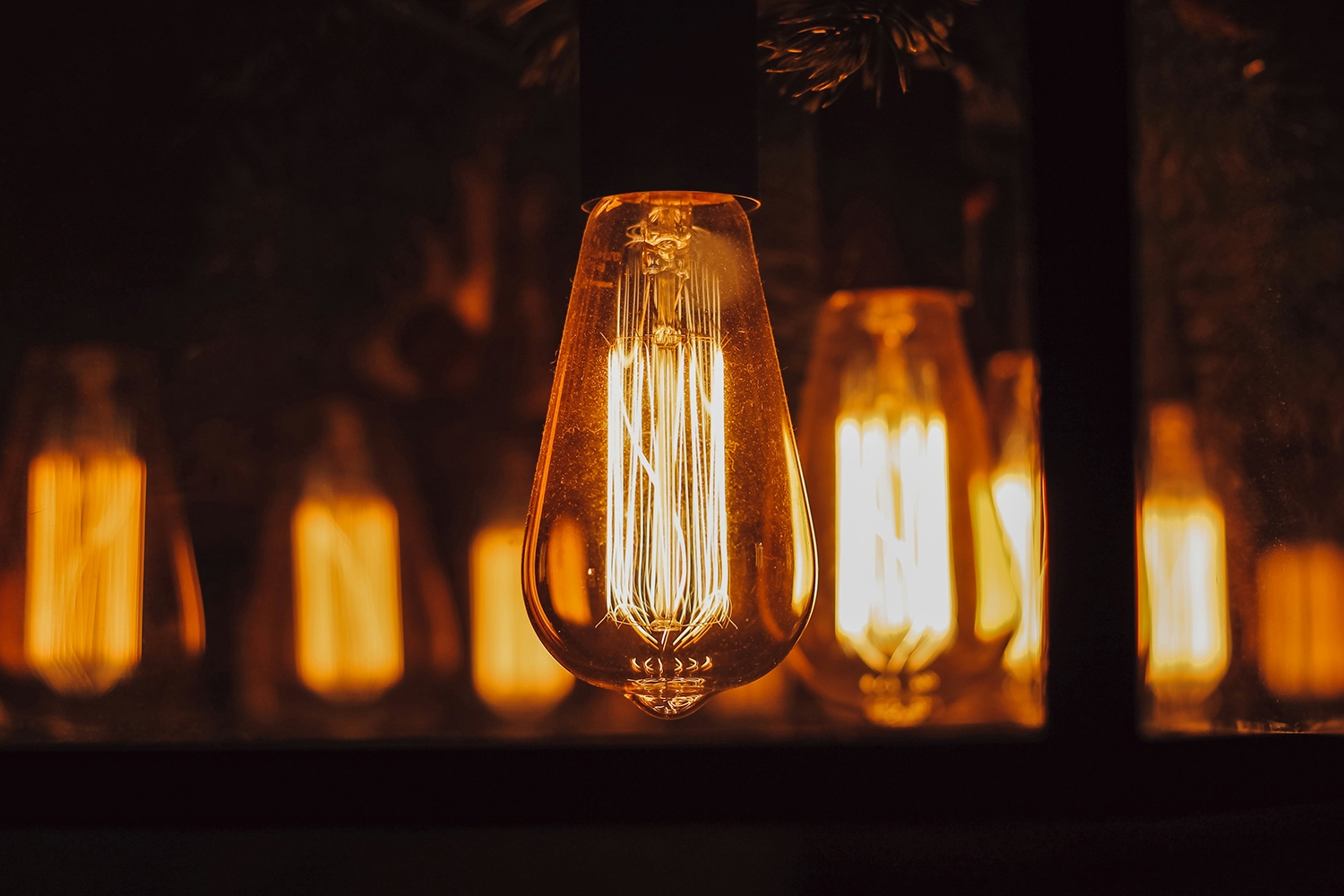 LED Lighting Save Energy, Cut Costs, and Help the Planet - FOREST SOLAR ...